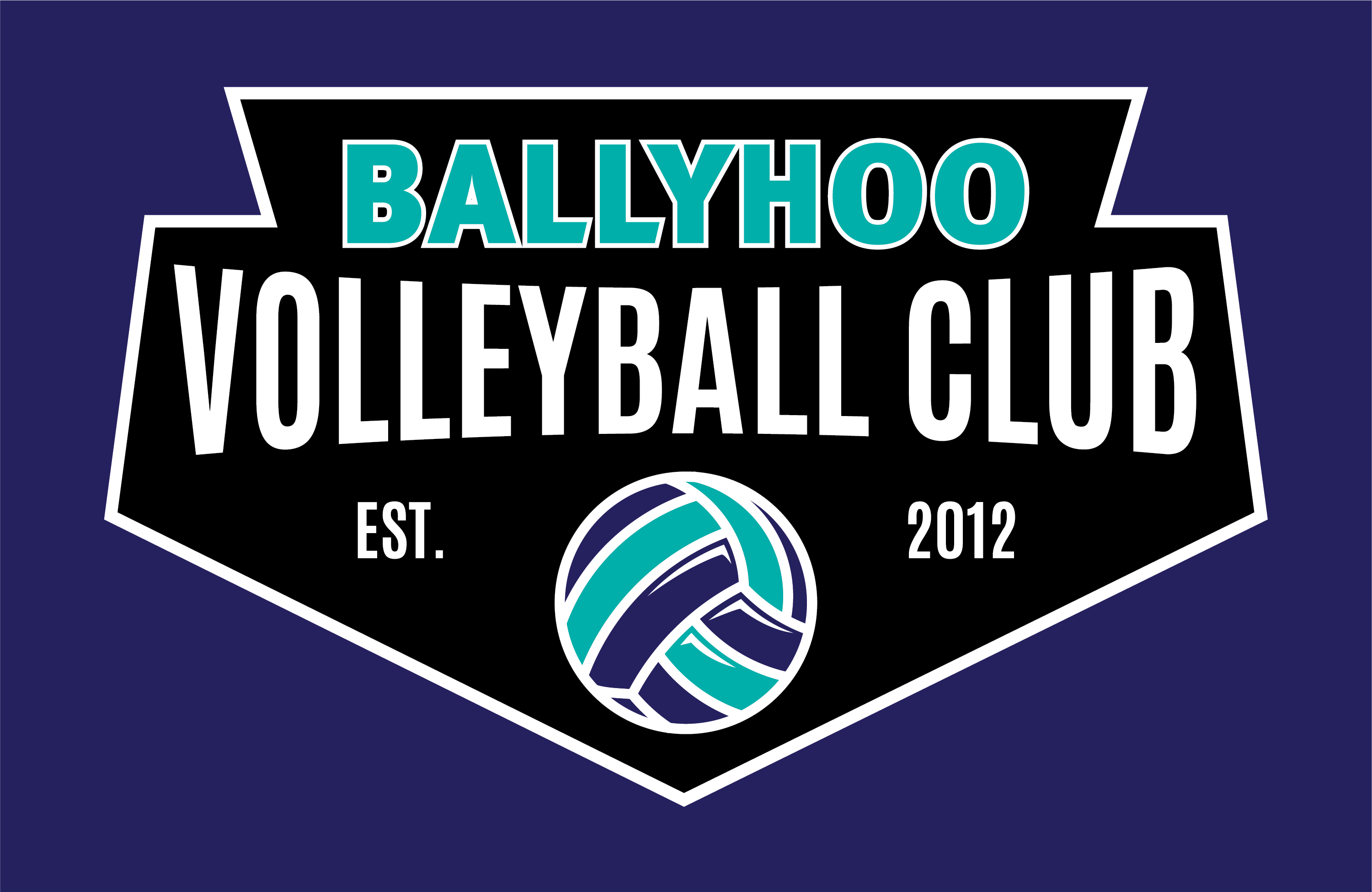 Clinics, Camps and Training - Ballyhoo Sports Academy